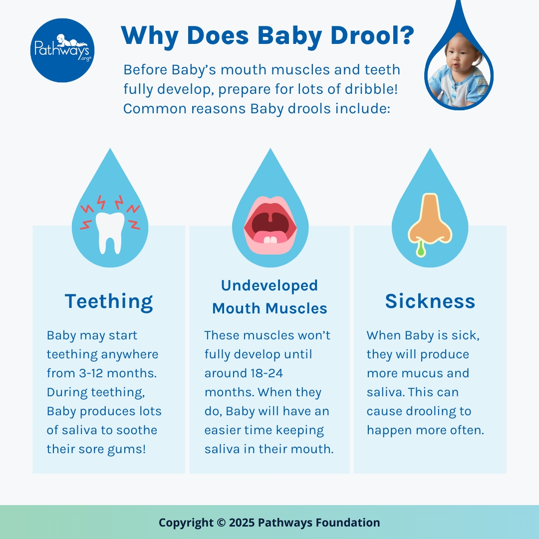 Pathways.org | Why Does Baby Drool?