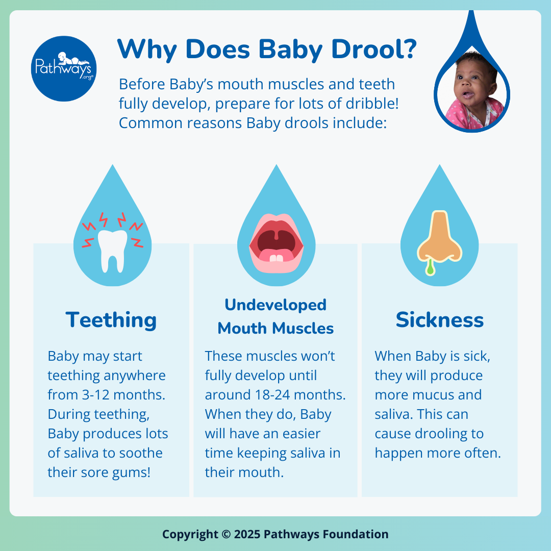 Pathways.org | Why Does Baby Drool?