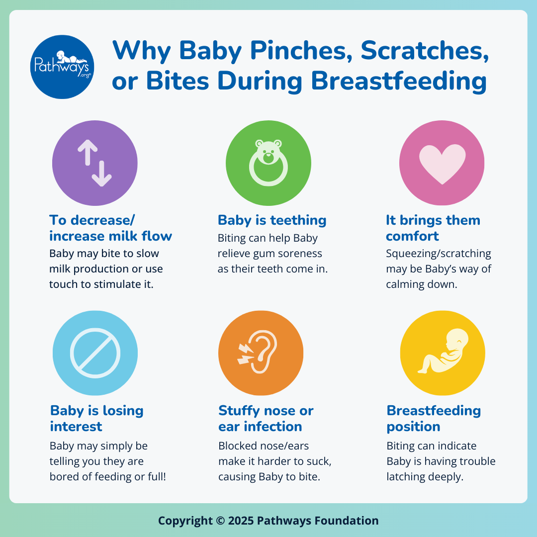 Pathways.org | What to Do If Baby Is Pinching, Scratching, or Biting During Breastfeeding